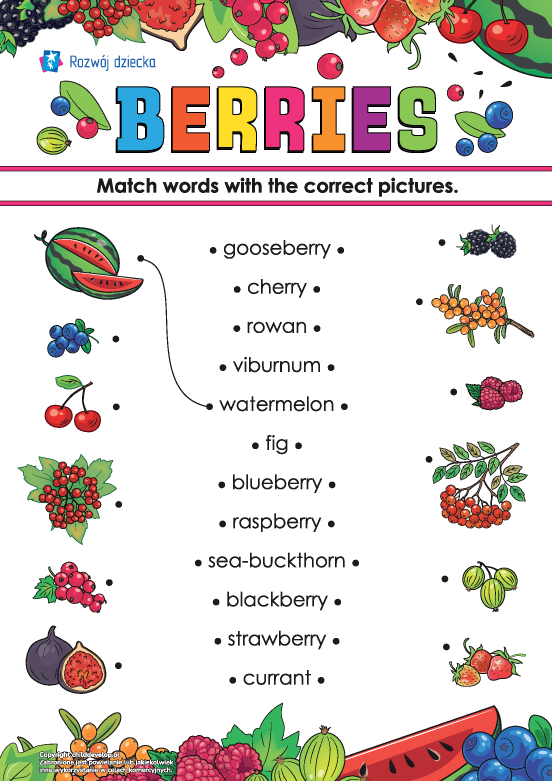 Berries (Jagody) – match words and pictures – Rozwój dziecka
